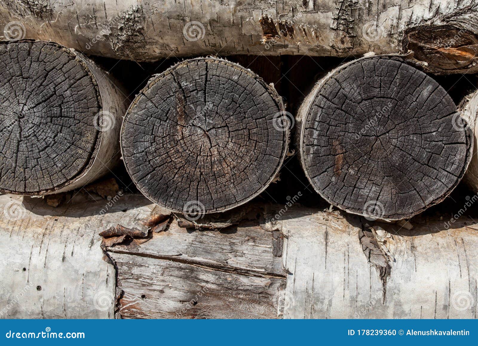 Birch logs stock photo. Image of structure, material - 178239360