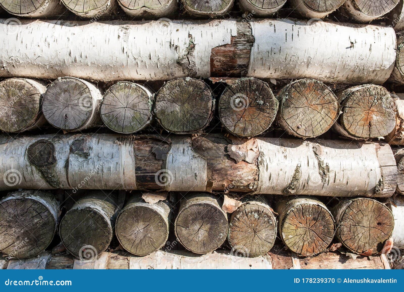 Birch logs stock photo. Image of rural, wood, building - 178239370