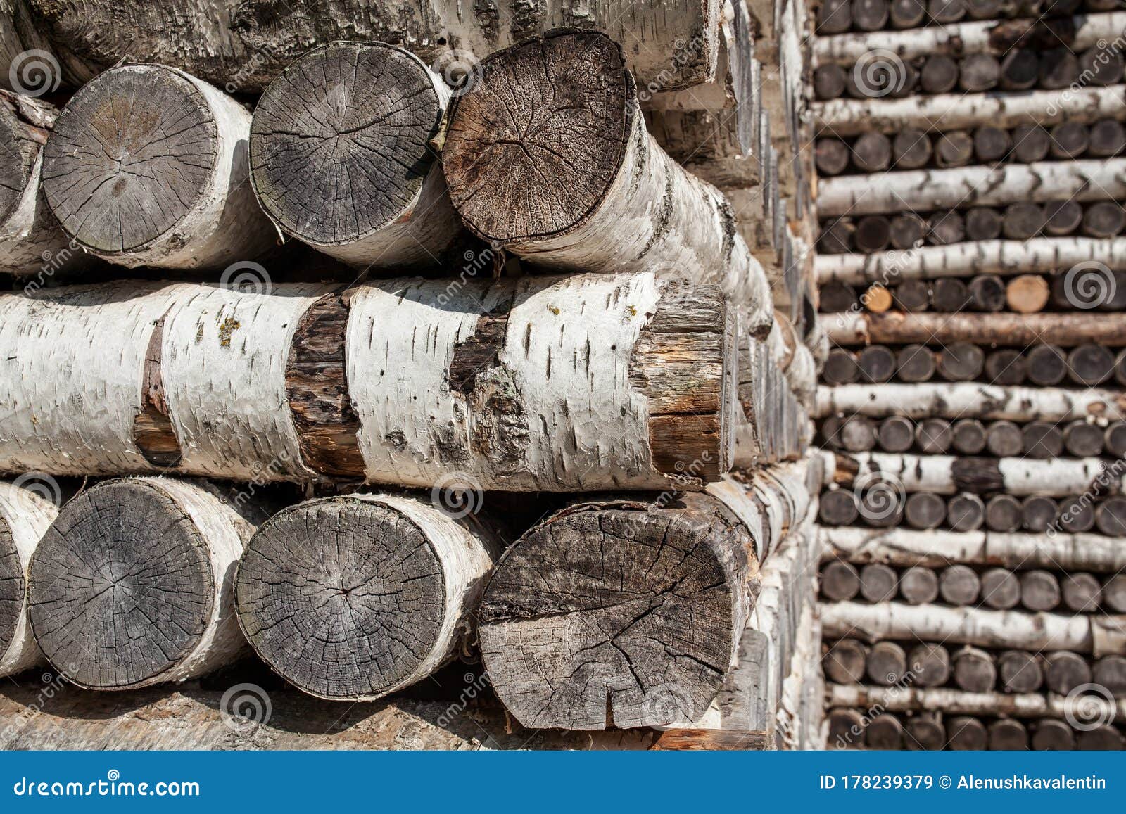 Birch logs stock image. Image of plant, wall, tree, frame - 178239379