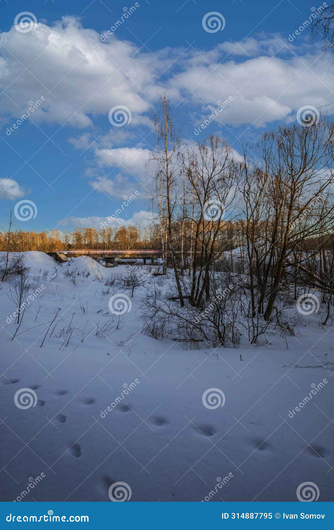Construction of a Bridge on the M5 Motorway Stock Image - Image of city ...
