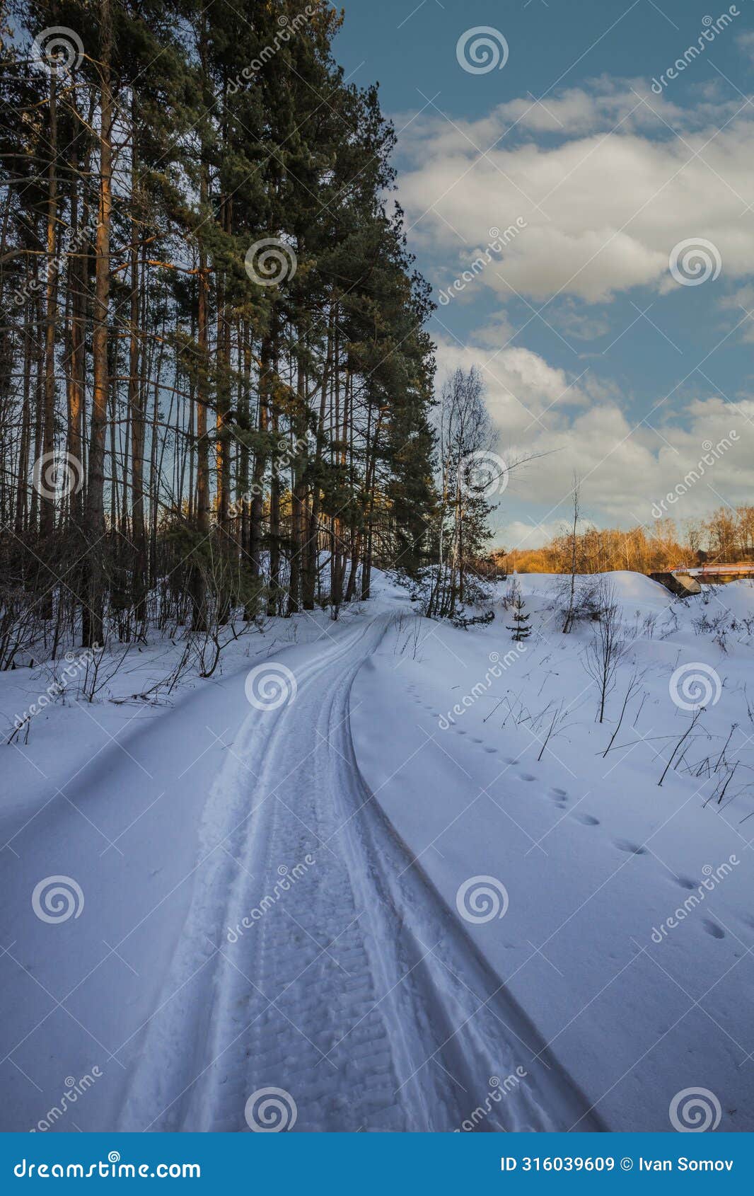 Construction of a Bridge on the M5 Motorway Stock Image - Image of ...
