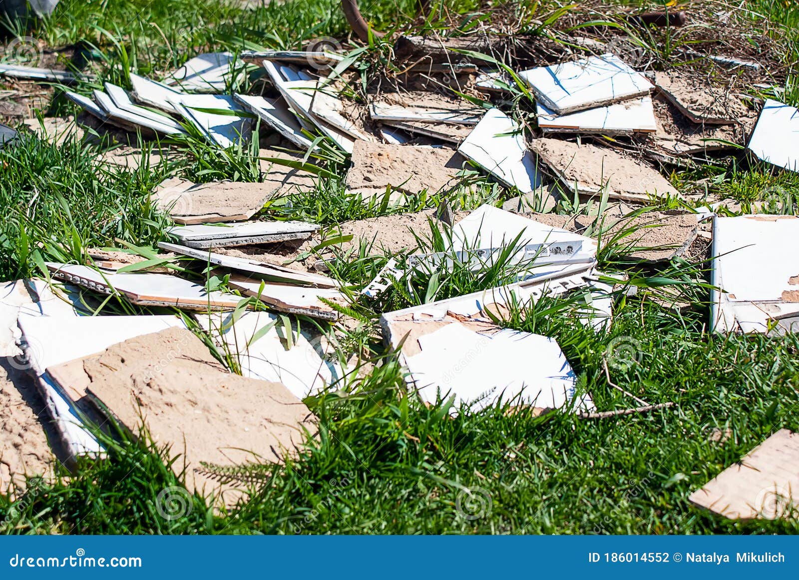 Construction Debris is Dumped among the Plants at the Roadside ...