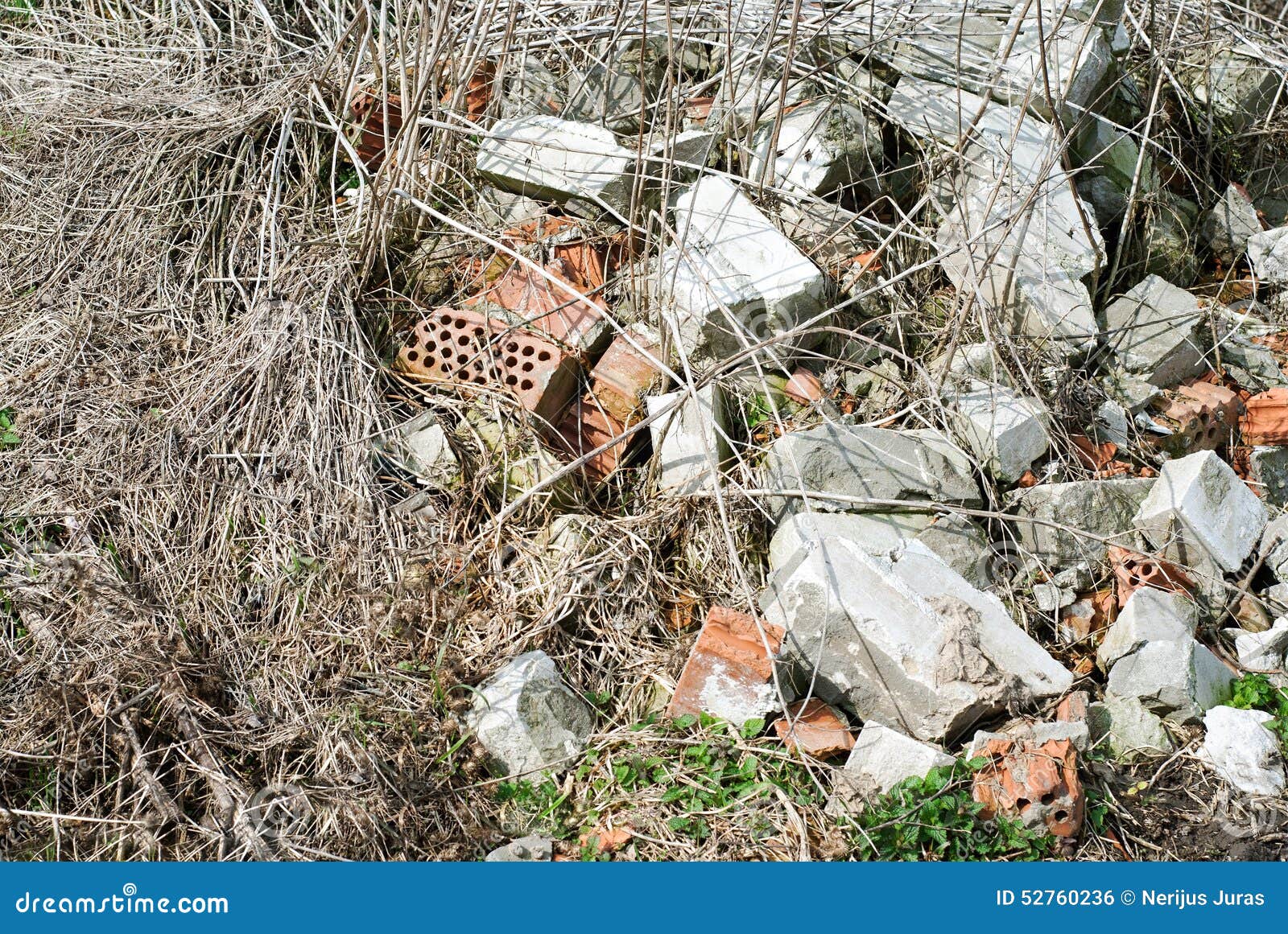 Construction and Demolition Debris Near the Forest Stock Photo - Image ...