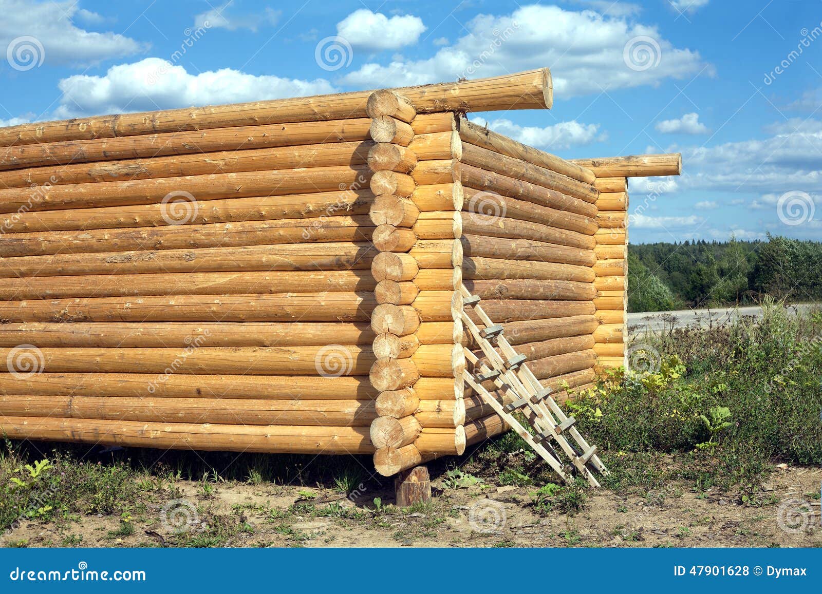 Construction En Bois De Maison Des Rondins Verticaux Photo stock ...