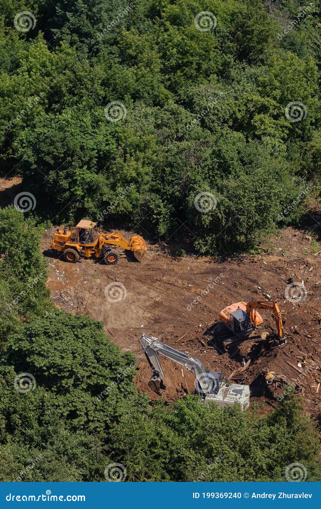 Construction Equipment Works in the Forest among the Trees Stock Photo ...