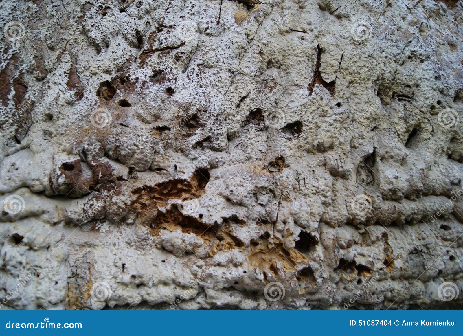 Construction foam texture stock photo. Image of grunge - 51087404