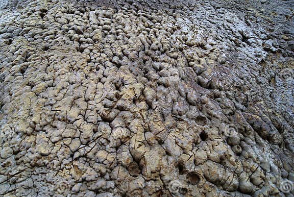 Construction foam texture stock photo. Image of construction - 51087406