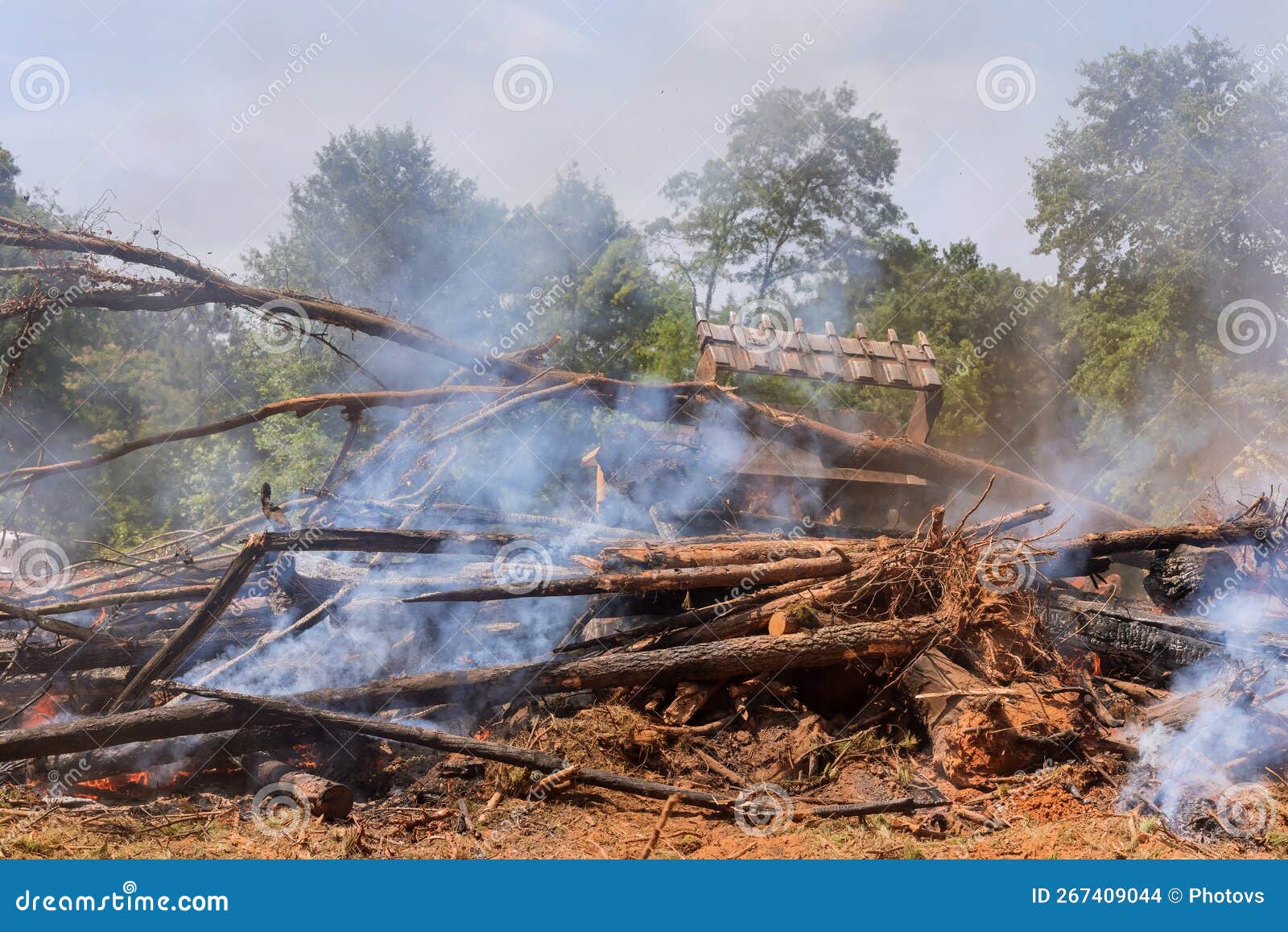During the Construction of the House, the Uprooted Forest Was Burned ...