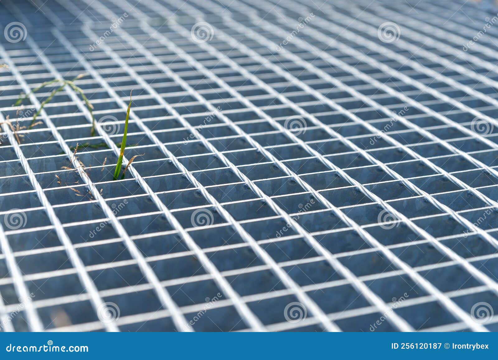 Construction Industry Metal Grid Plates with Rise of Nature Grass Stock ...