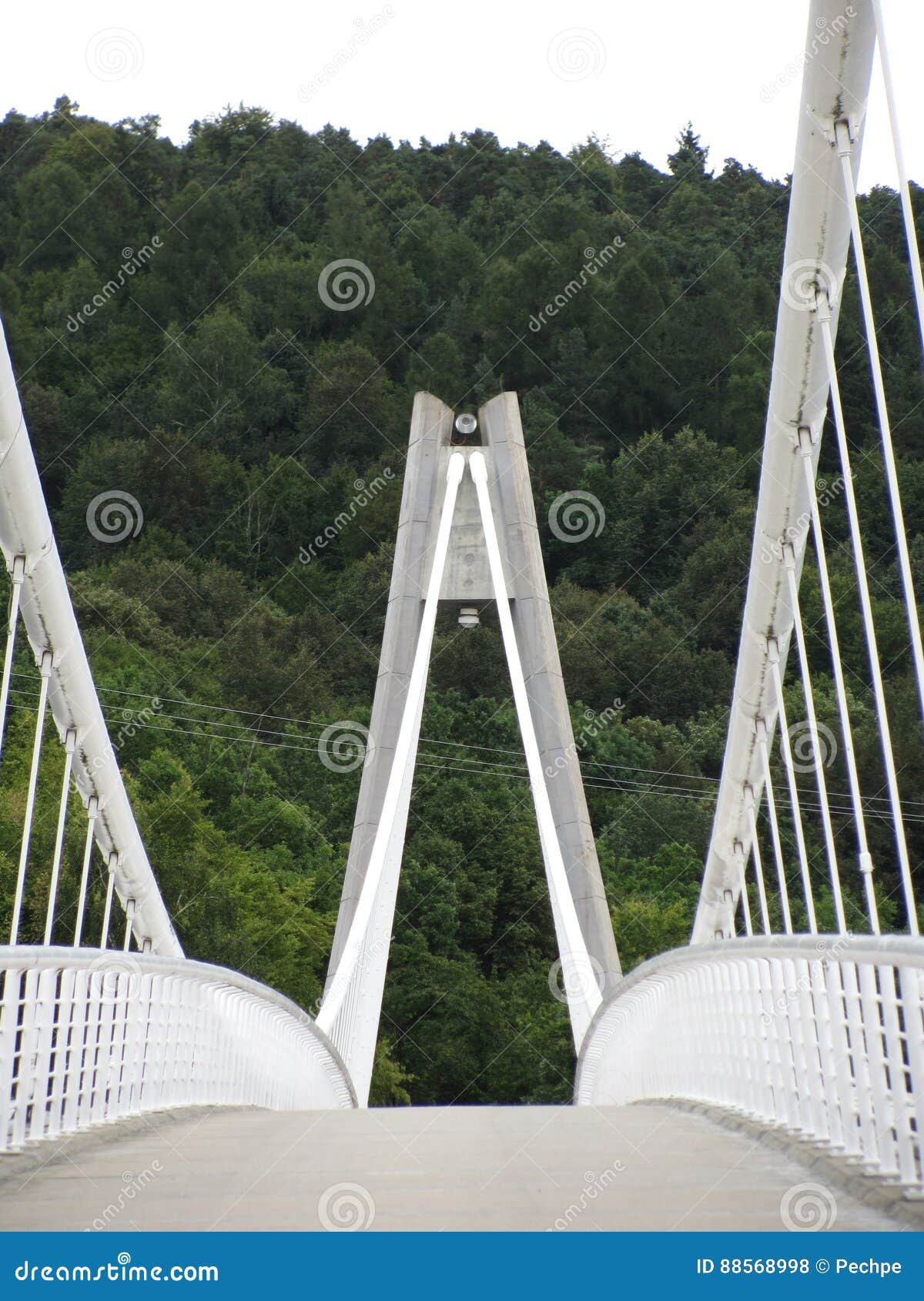 Construction of Iron Bridge Across the River in Deep Forests in the ...