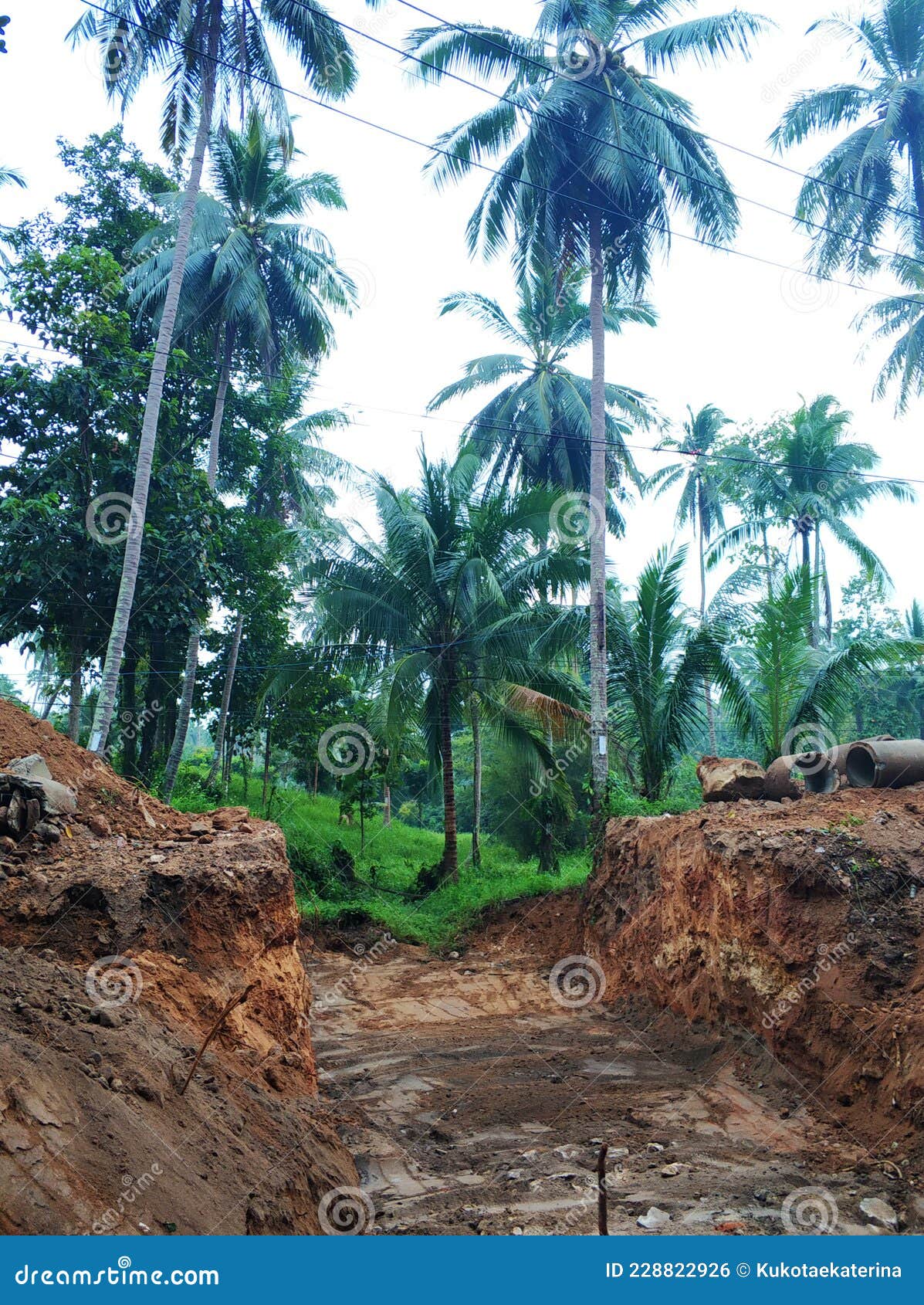 Construction in the Jungle Forest. Workers are Digging a Large ...