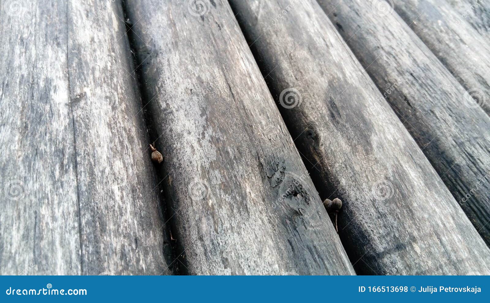 A Construction Log for Use in Construction without Longitudinal Sawing ...