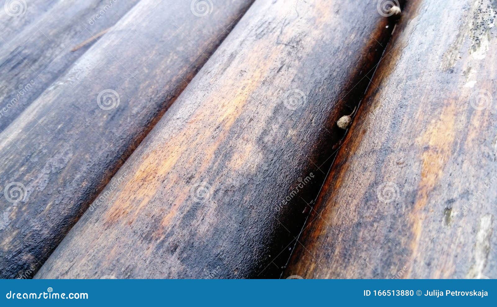 A Construction Log for Use in Construction without Longitudinal Sawing ...