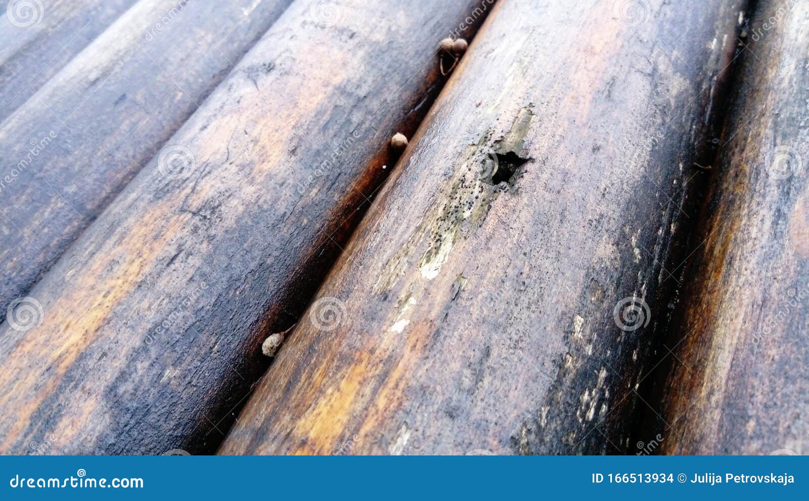 A Construction Log for Use in Construction without Longitudinal Sawing ...