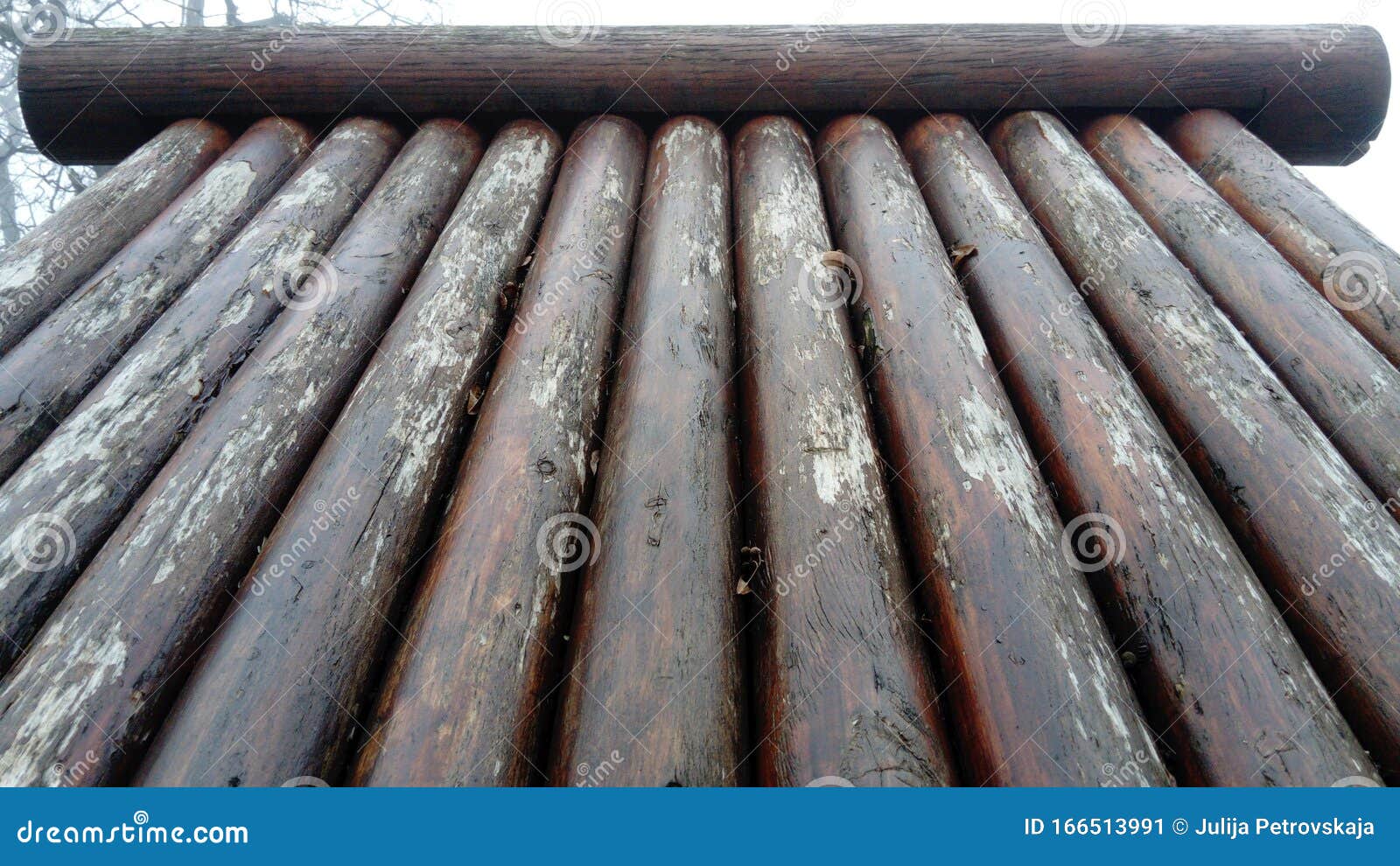 A Construction Log for Use in Construction without Longitudinal Sawing ...