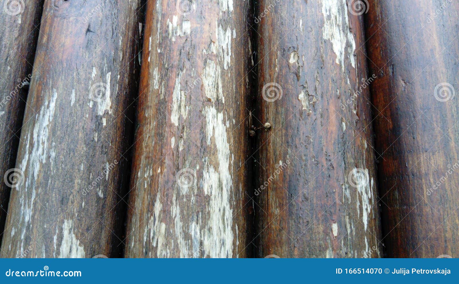 A Construction Log for Use in Construction without Longitudinal Sawing ...