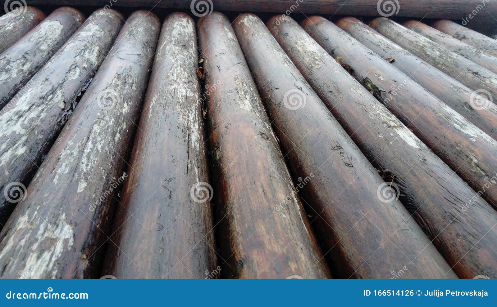 A Construction Log for Use in Construction without Longitudinal Sawing ...