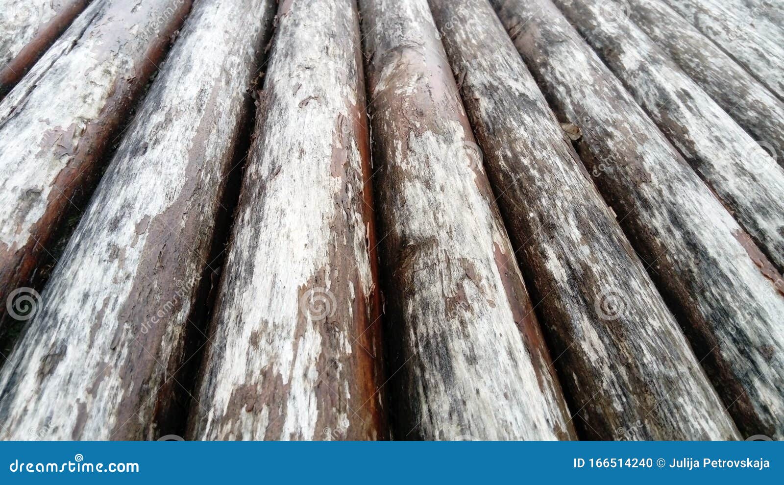 A Construction Log for Use in Construction without Longitudinal Sawing ...