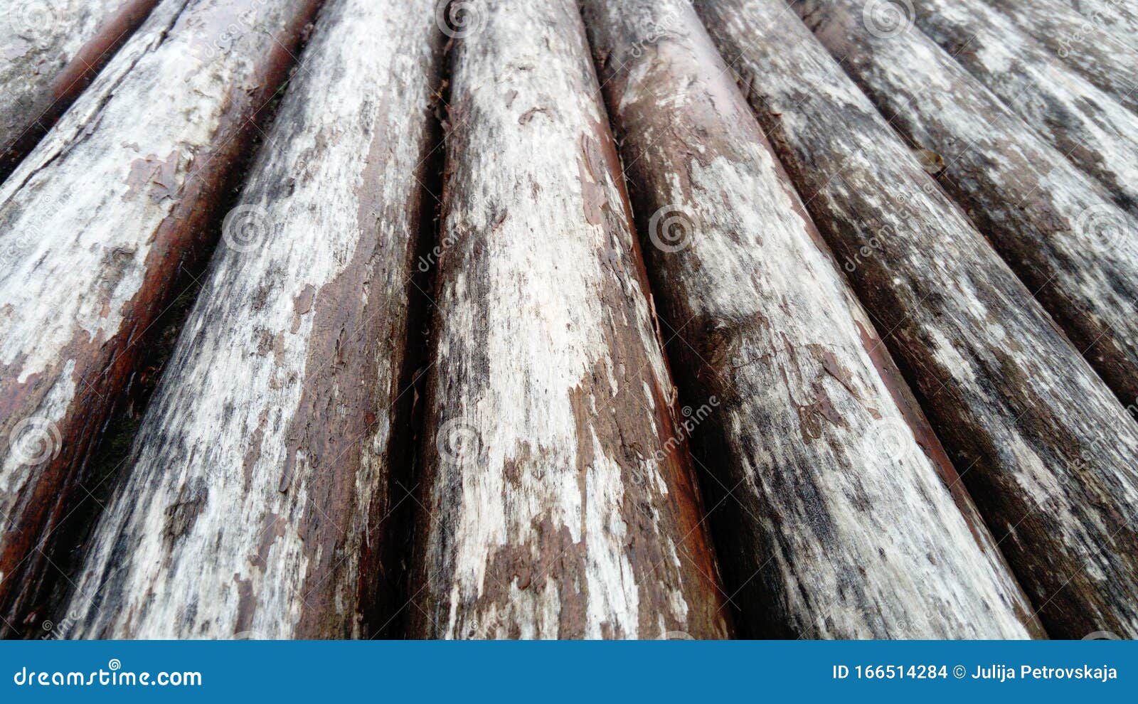 A Construction Log for Use in Construction without Longitudinal Sawing ...