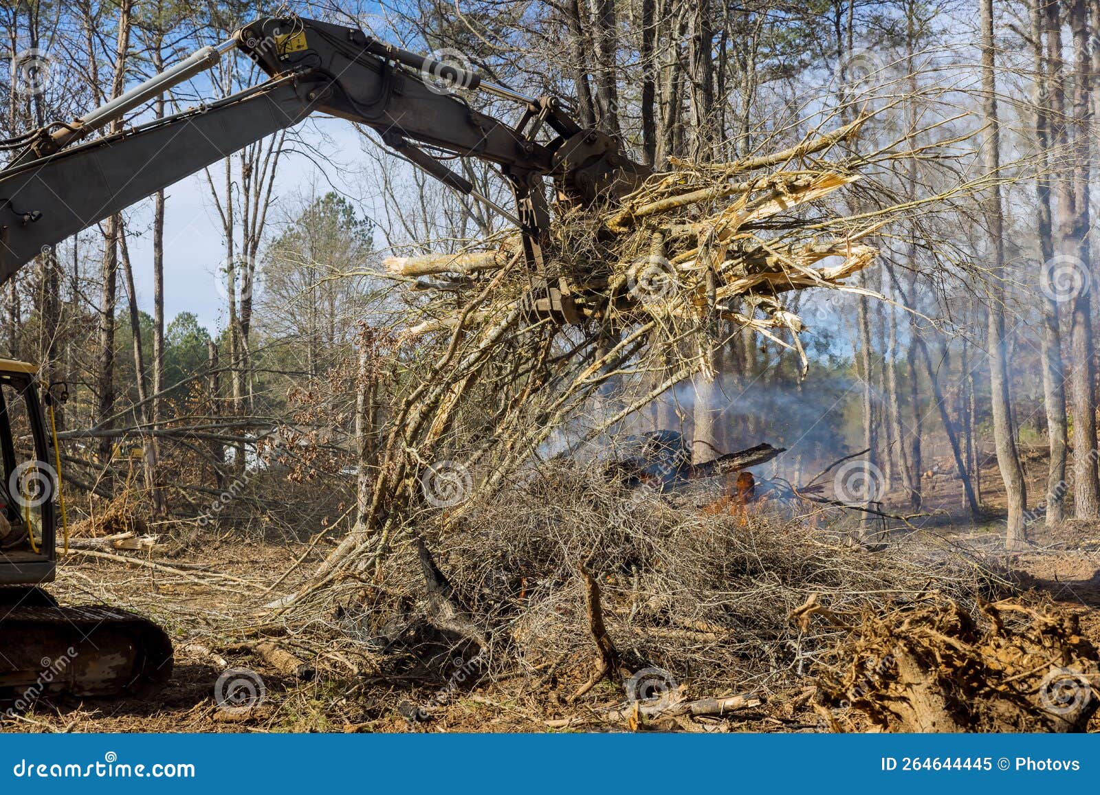 During Construction of a New House Complex, the Uprooted Forest Was ...