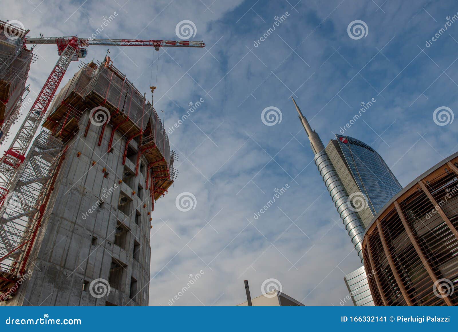 Construction of a New Library of Trees in the Island District. in the ...