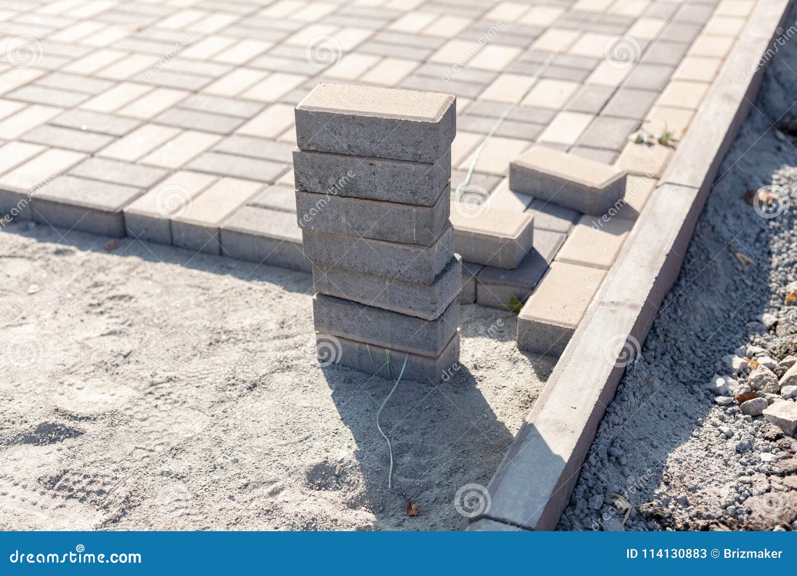 Path Road With Giant Trees Tunnel, Jawatan Perhutani. Indonesia. Java ...