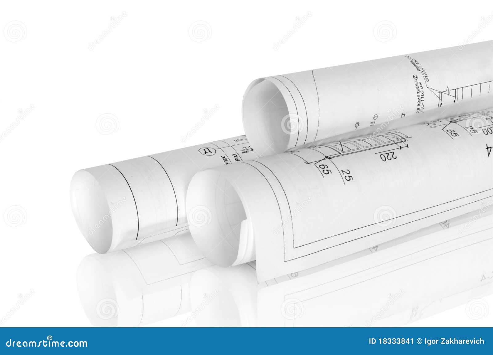 Construction Plans in Rolls Stock Image - Image of plan, organization ...