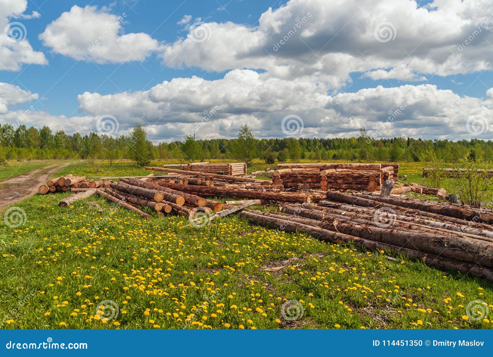 Construction Site in Spring Stock Photo - Image of green, industry ...