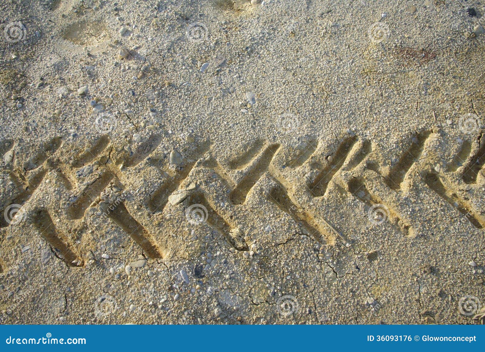 Wheel Trace On Road, Puddle And Mud After Rain. Traces On Soil Of ...