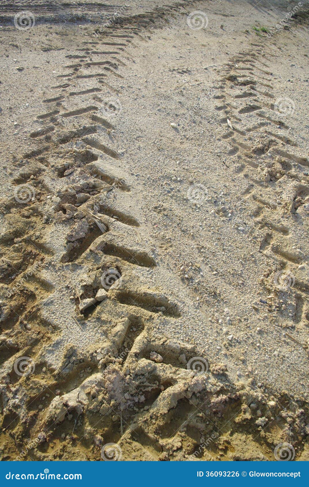 Wheel Trace On Road, Puddle And Mud After Rain. Traces On Soil Of ...