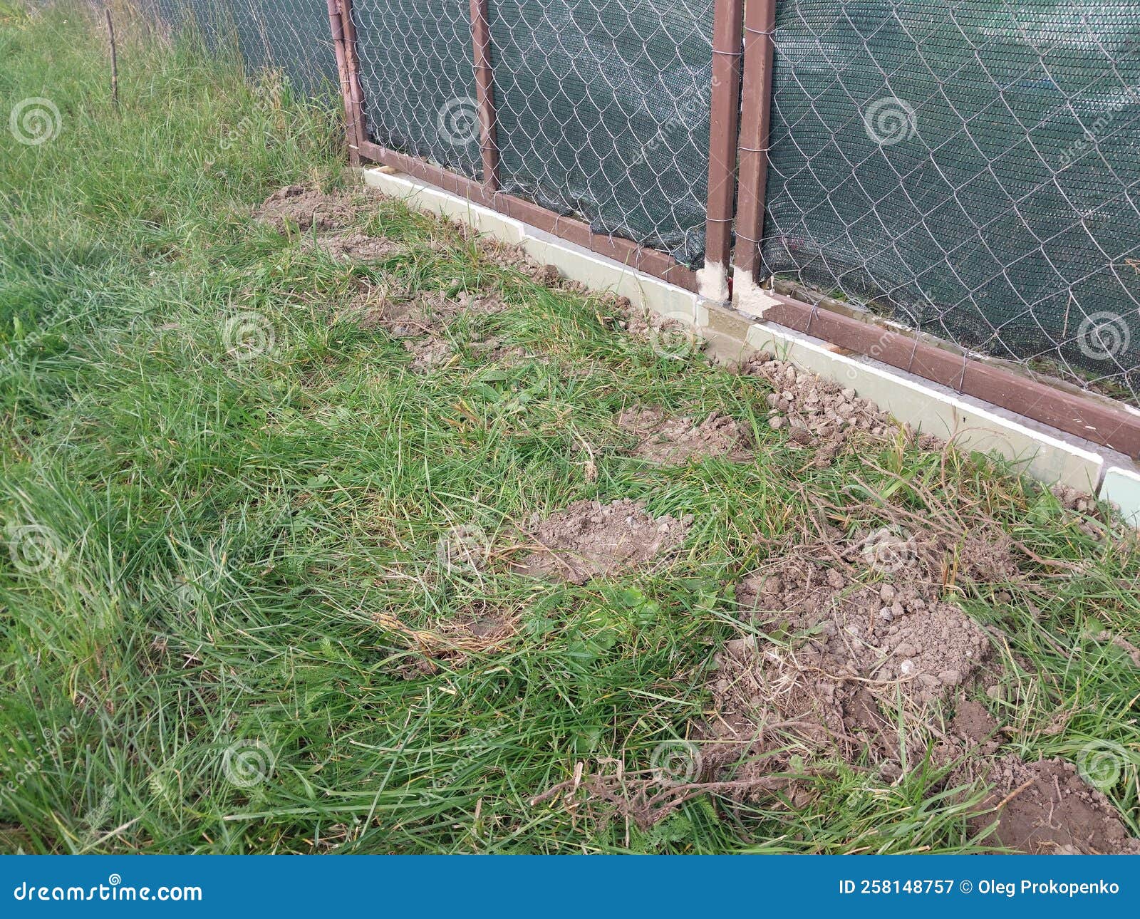 Construction of a Strip Foundation for a Fence Stock Image - Image of ...