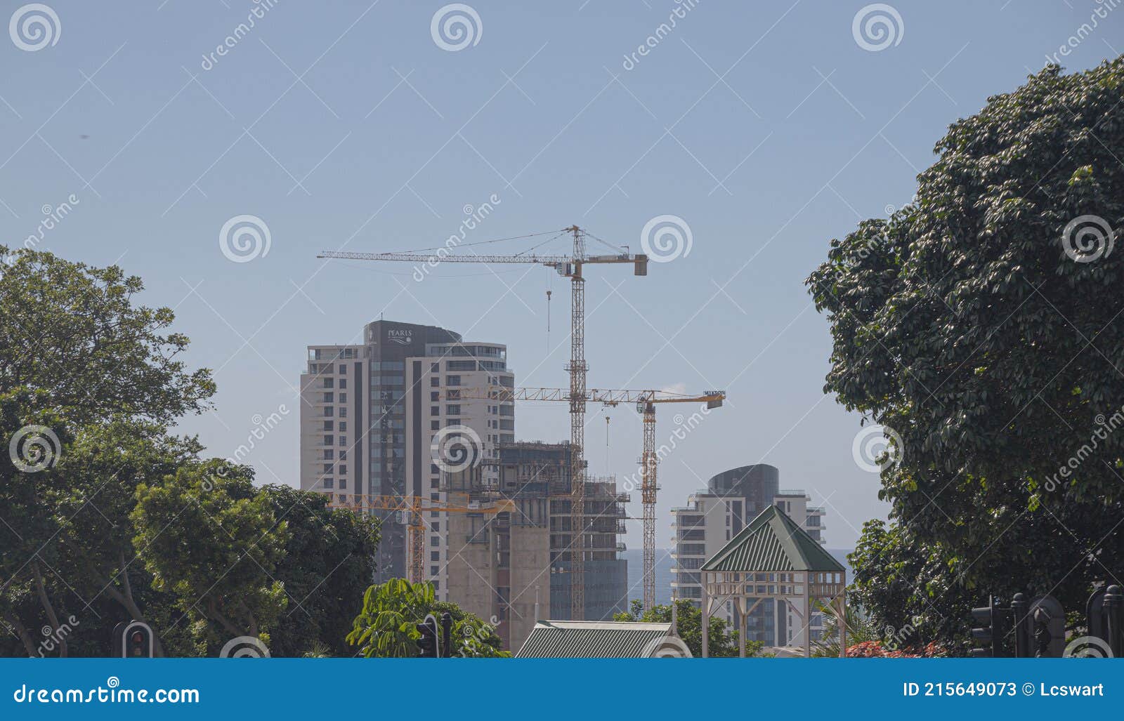 Construction of Tall Buildings Viewed through Trees Stock Image - Image ...