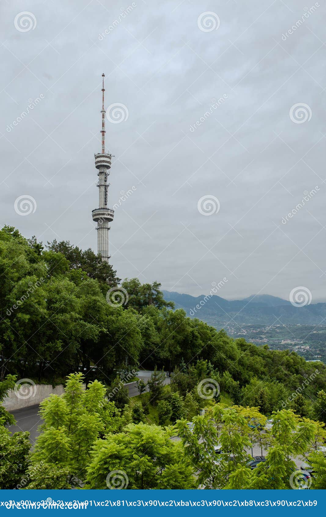 Construction of a TV Tower among Trees and Sky Stock Image - Image of ...