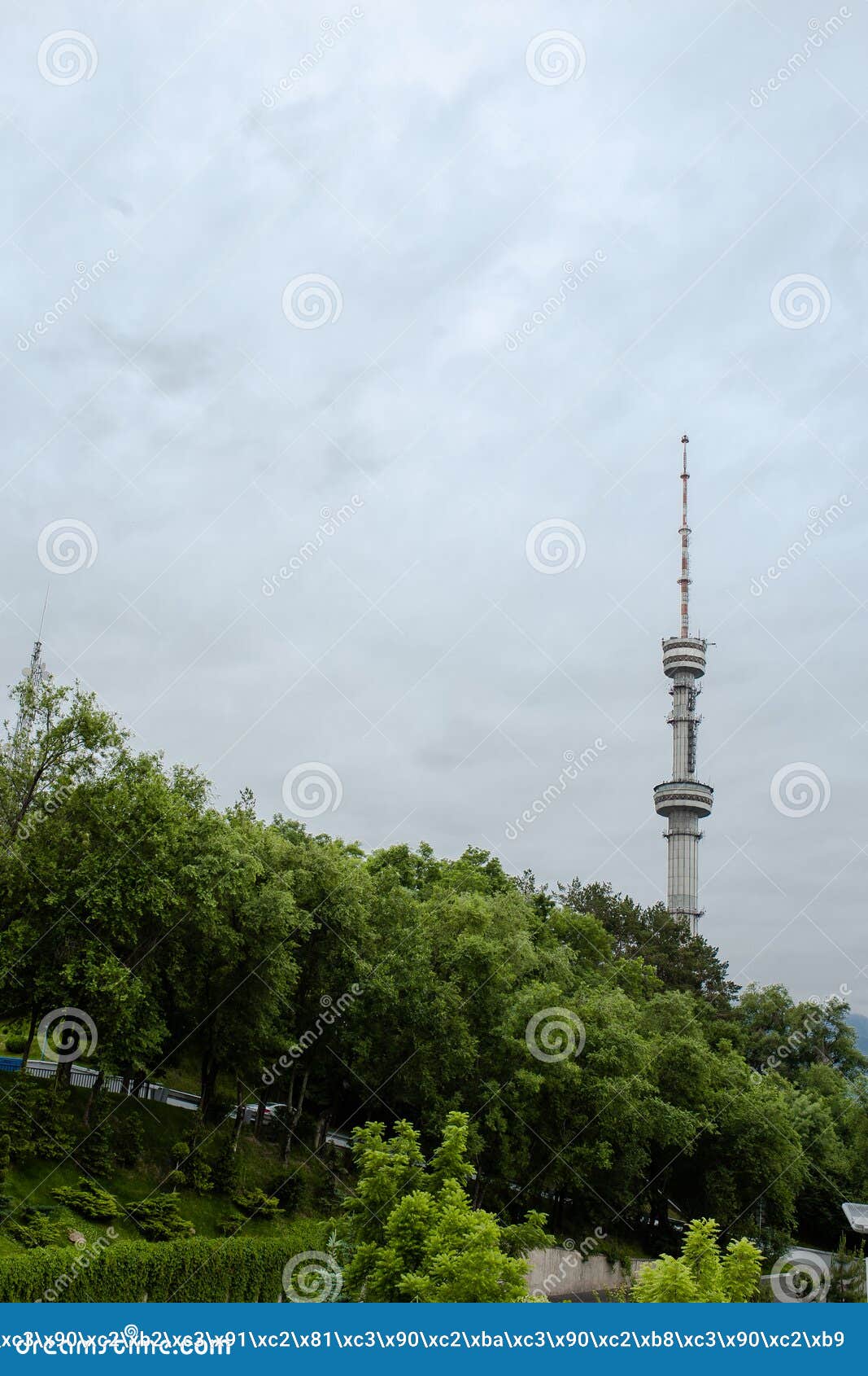 Construction of a TV Tower among Trees and Sky Stock Photo - Image of ...