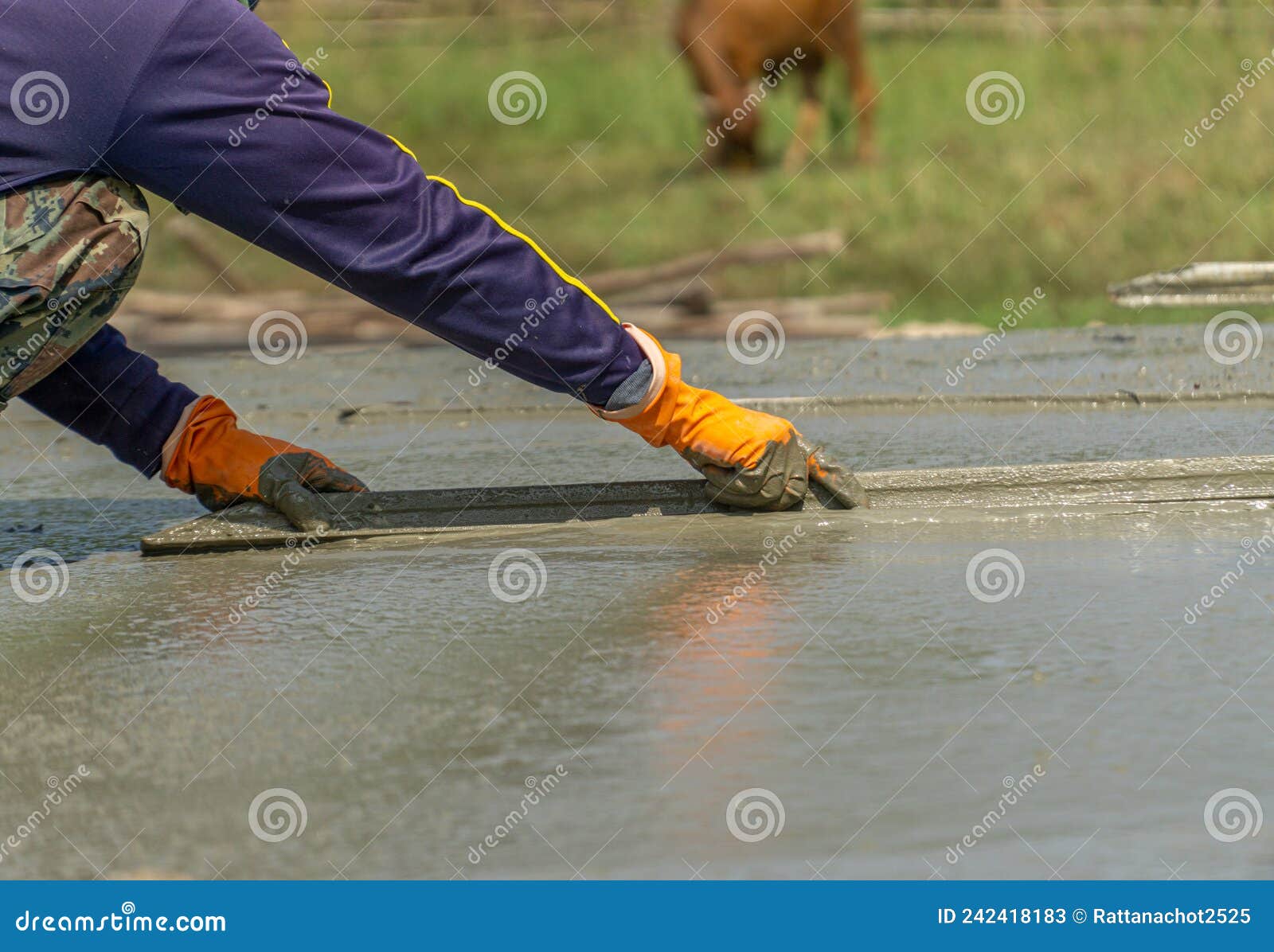 Construction Under the Building with Mason Plastering Concrete To a ...