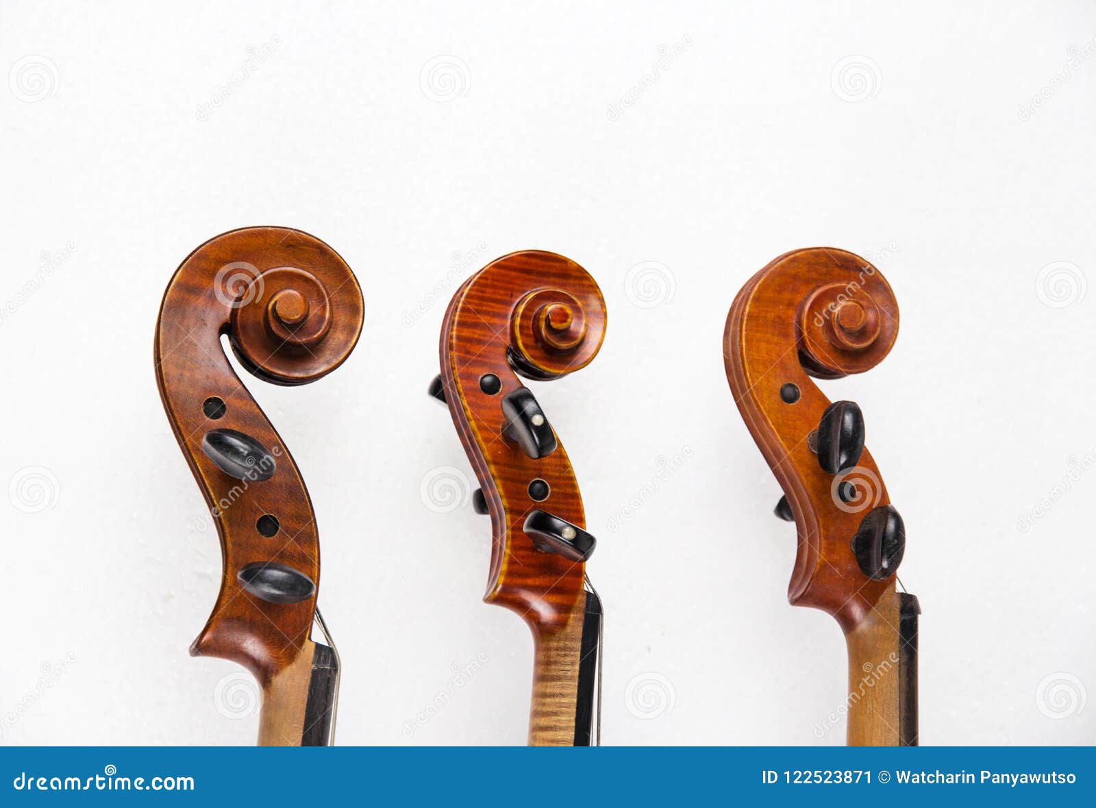 The Construction of Violin,Scroll,Pegbox and Neck,they are Stacked on ...