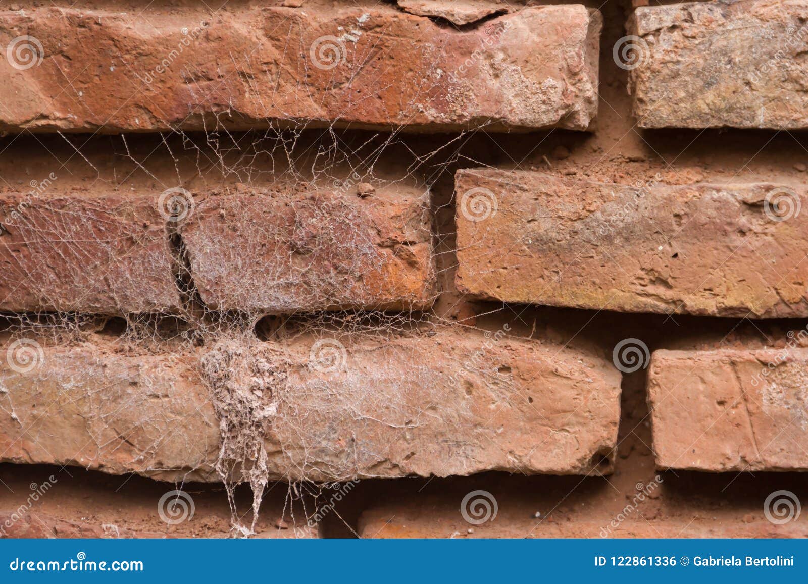 Old Brick Wall with Cobwebs Stock Photo - Image of textured, material ...