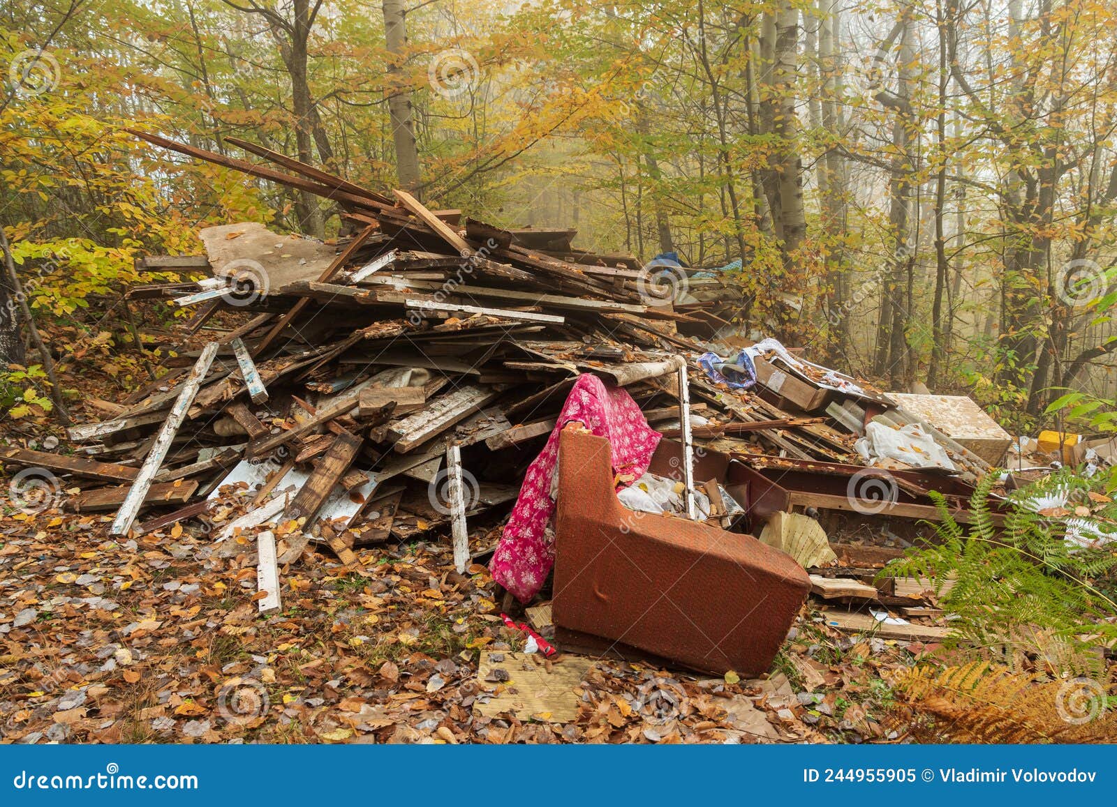 Construction Waste Dumping in the Autumn Forest. Pollution of the ...