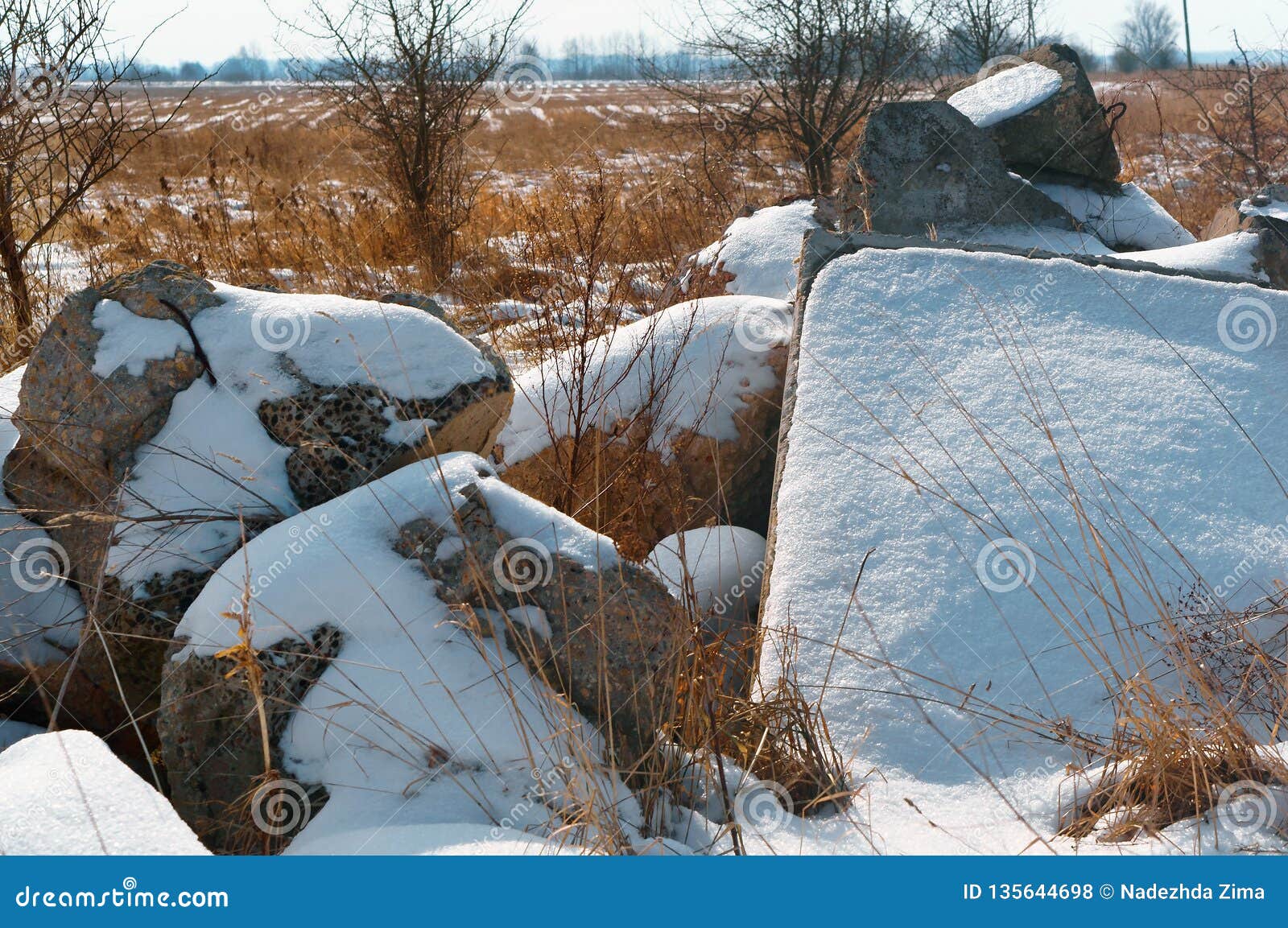 Construction Waste in the Field Stock Photo - Image of plant ...