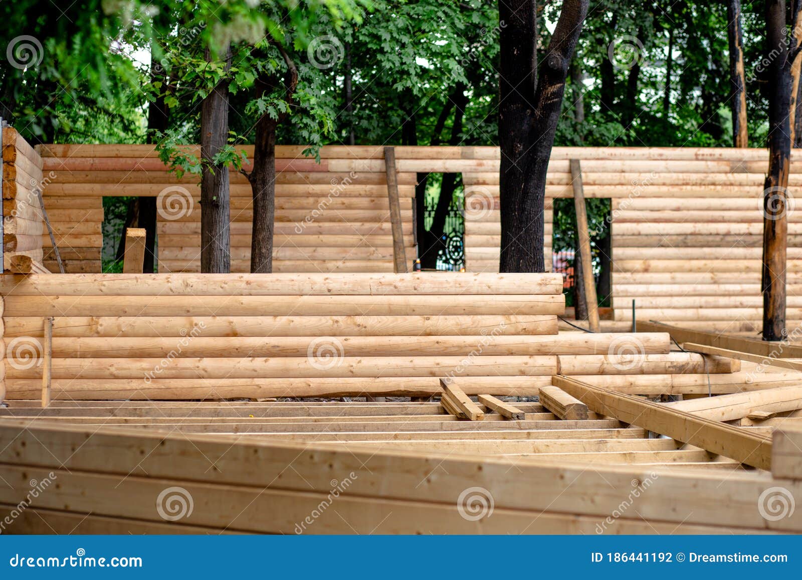 Construction of a Wooden Ecodom in the Forest with the Preservation of ...