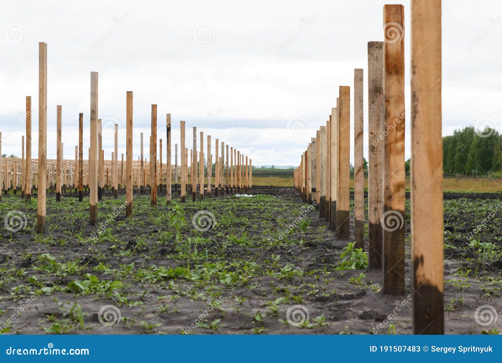 Embedded Ground Wire Of Electrical Concrete Pole At The Tip Royalty ...