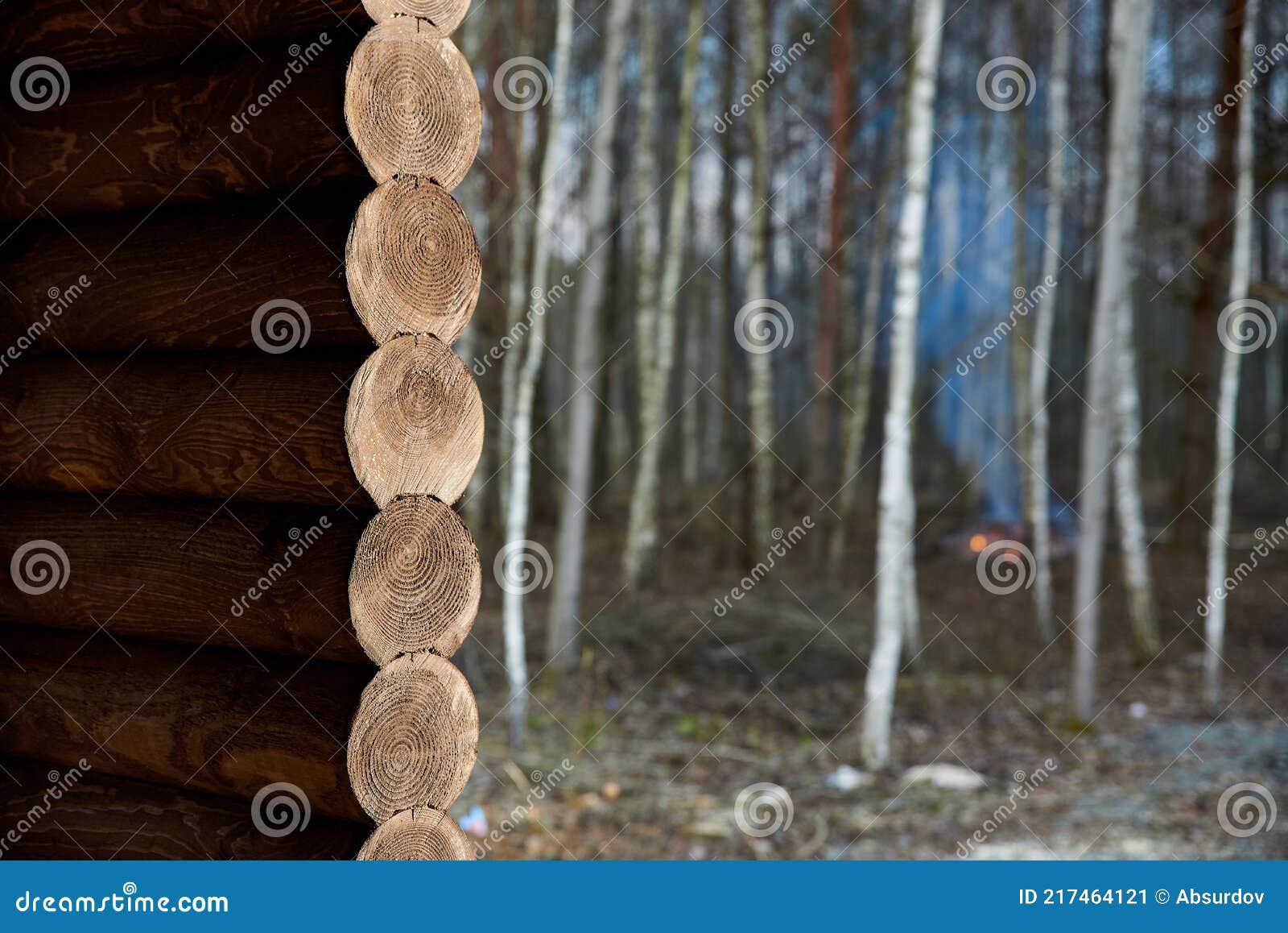 Construction of a Wooden House from Round Log Stock Image - Image of ...