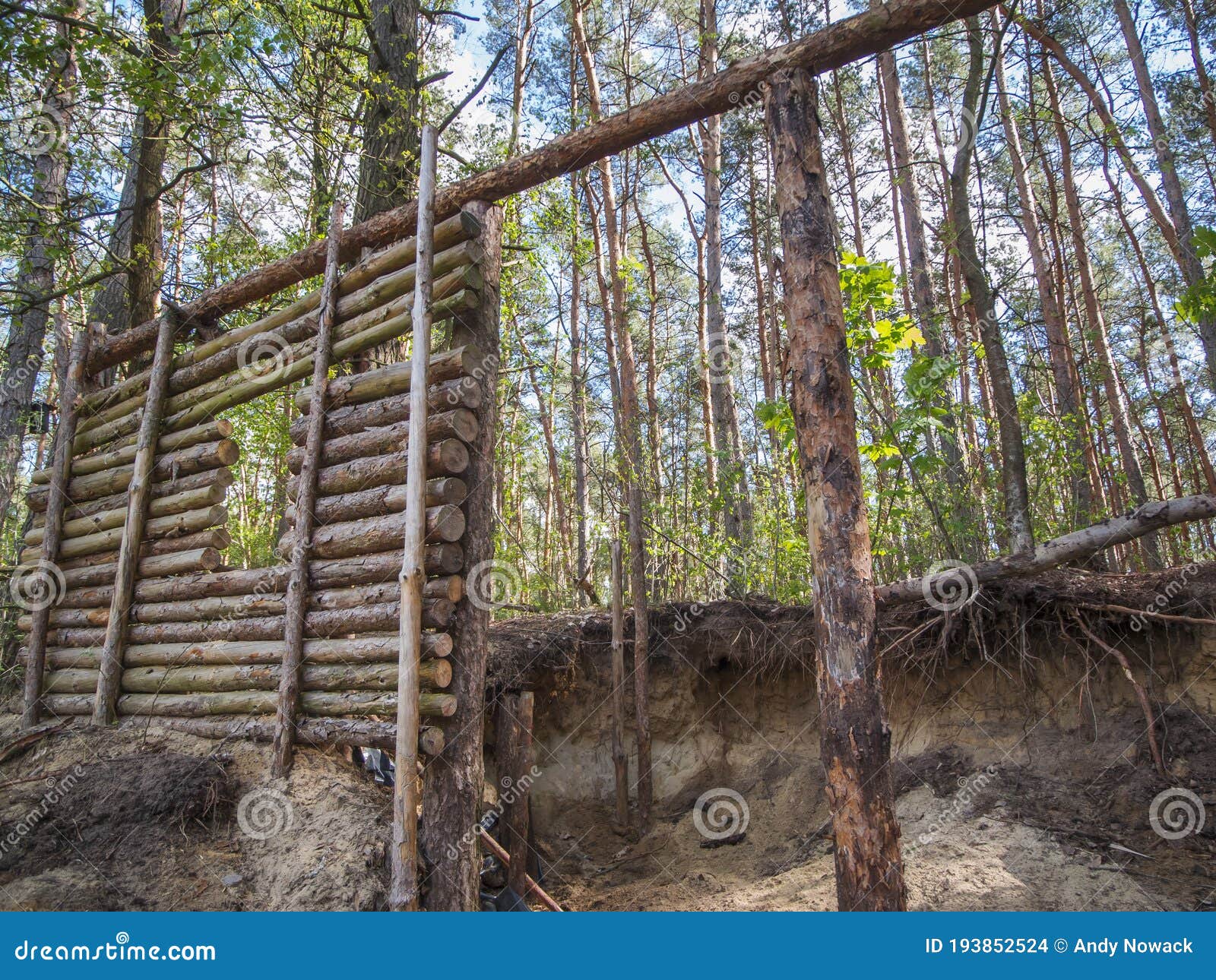 Construction of a Wooden Hut in the Forest Stock Photo - Image of ...