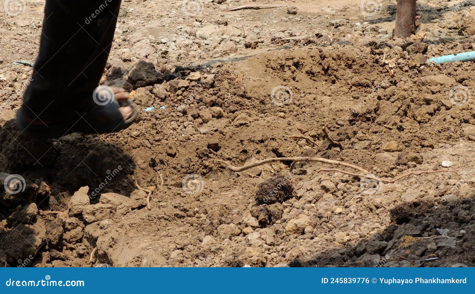 Construction Worker Digging with Shovel on Construction Site. Stock ...