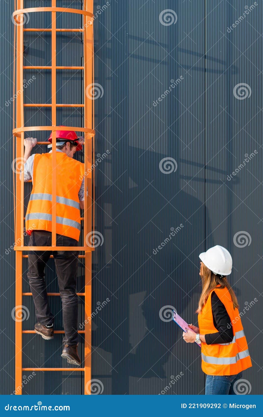 Construction Worker on Ladders Stock Photo - Image of business ...