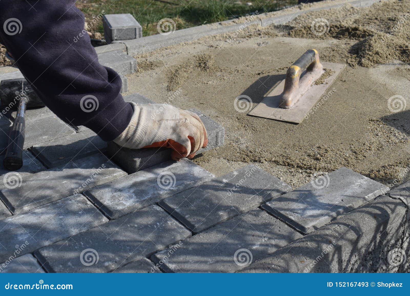Construction Worker are Laying Concrete Pavement Stone for Footpath ...