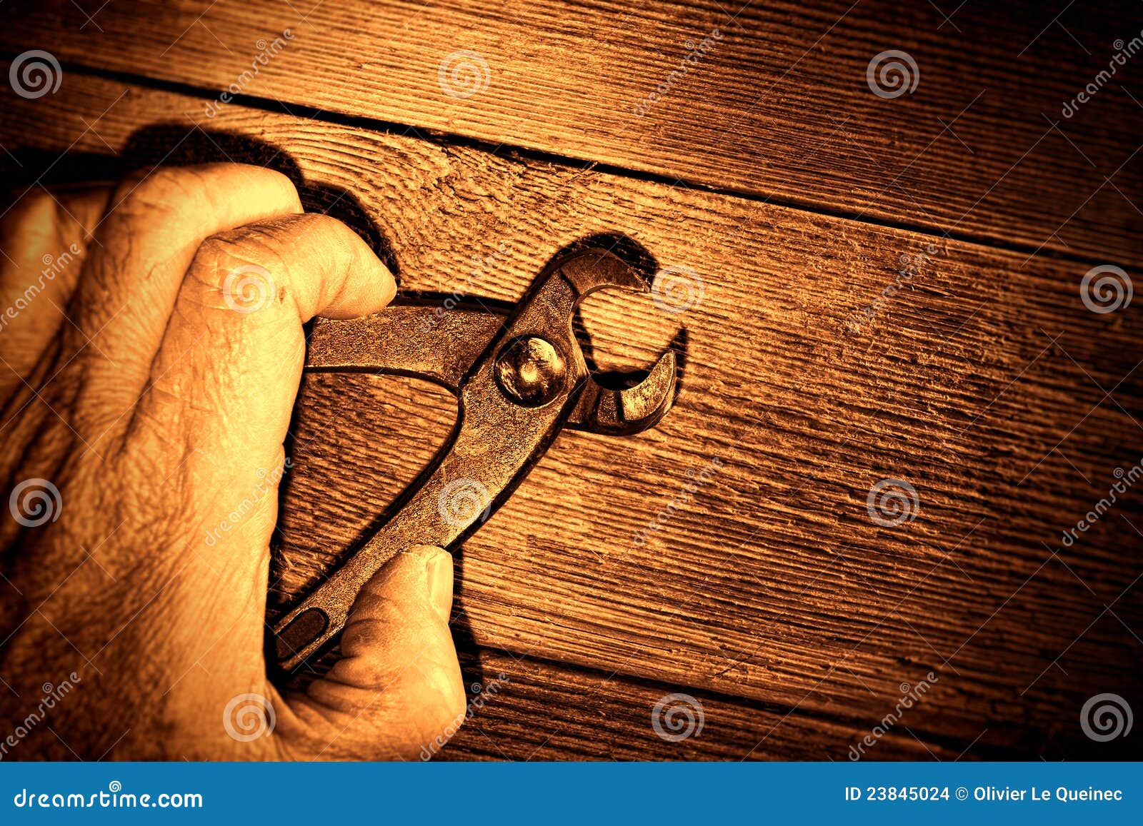 Construction Worker Rugged Hand Hold Grunge Pliers Stock Photo - Image ...