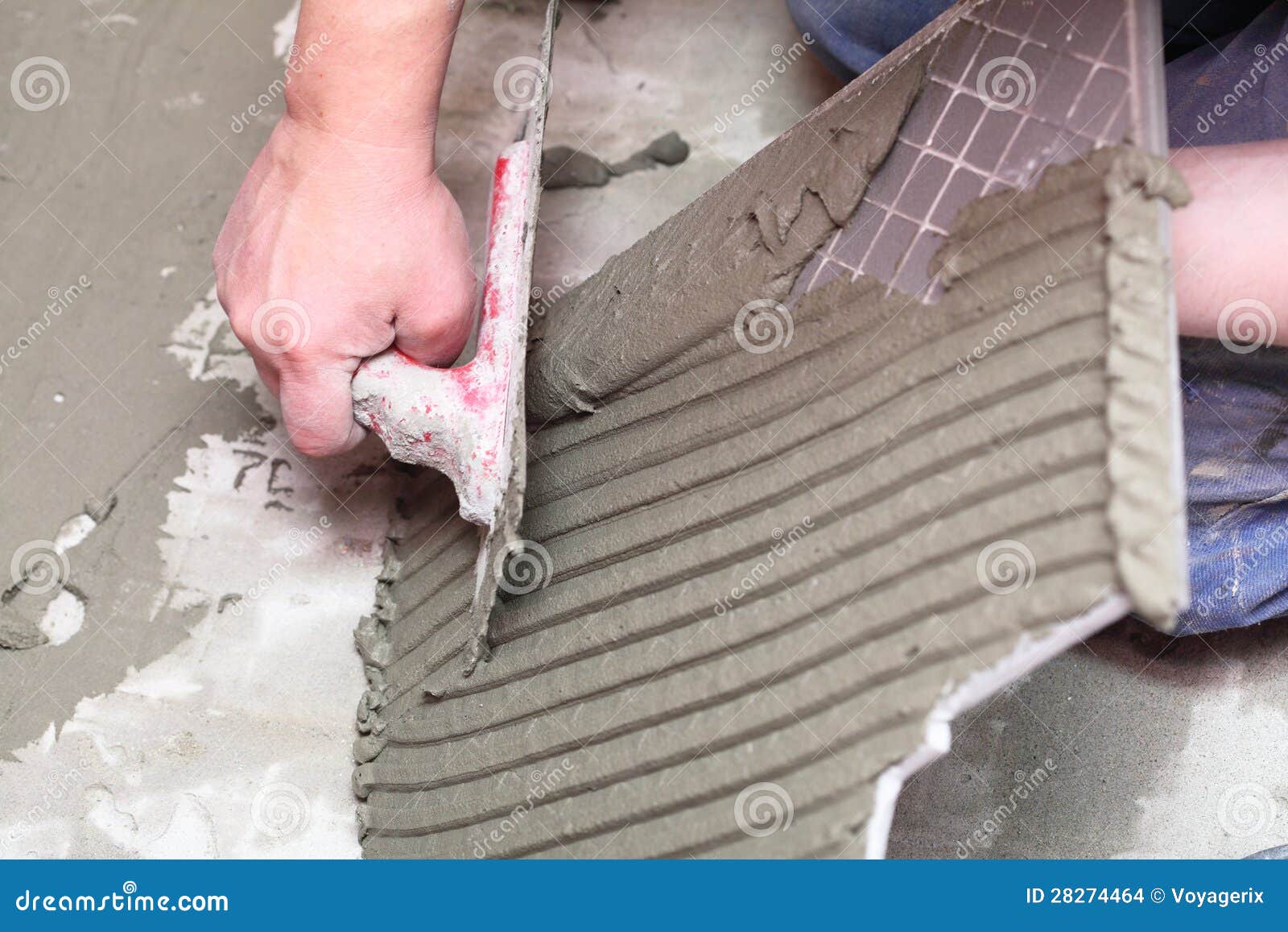 Construction Worker is Tiling at Home Tile Floor Adhesive Stock Photo ...