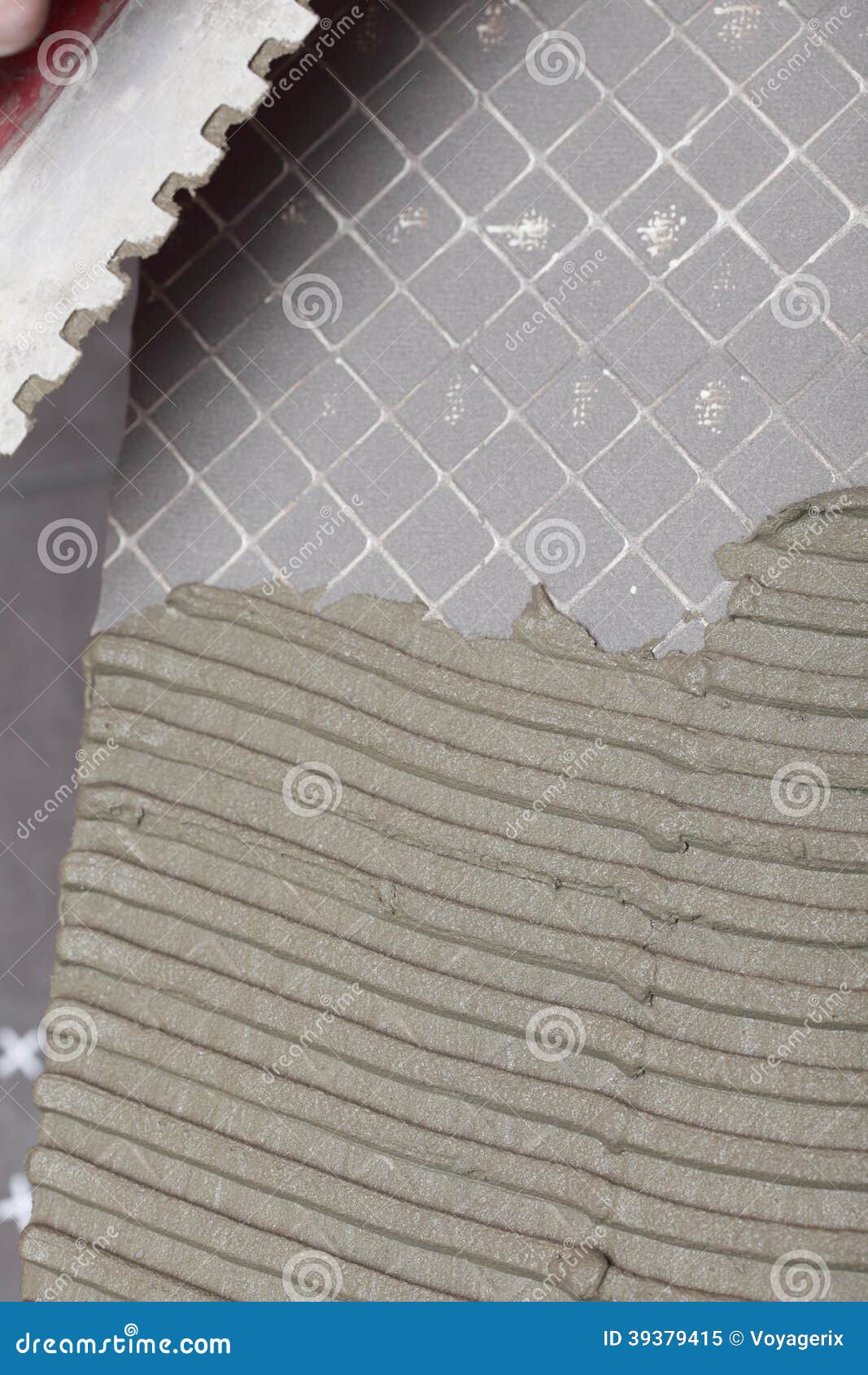 Construction Worker is Tiling at Home Tile Floor Adhesive Stock Image ...
