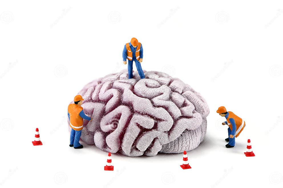Construction Workers on Brain Stock Photo - Image of closeup, inspect ...